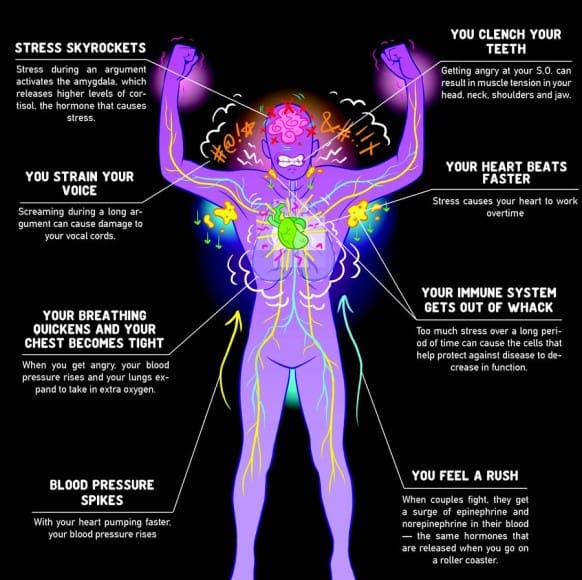 Your body when you're angry infographic - M2woman