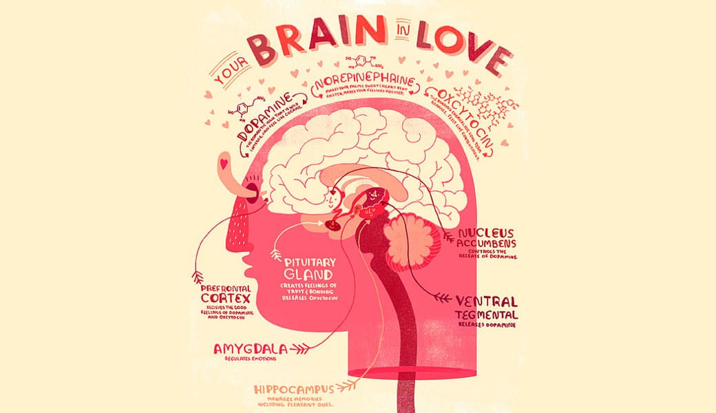 Brain And Love Quotes
