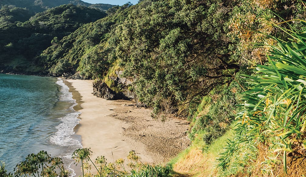 Getaway To Oke Bay - M2woman