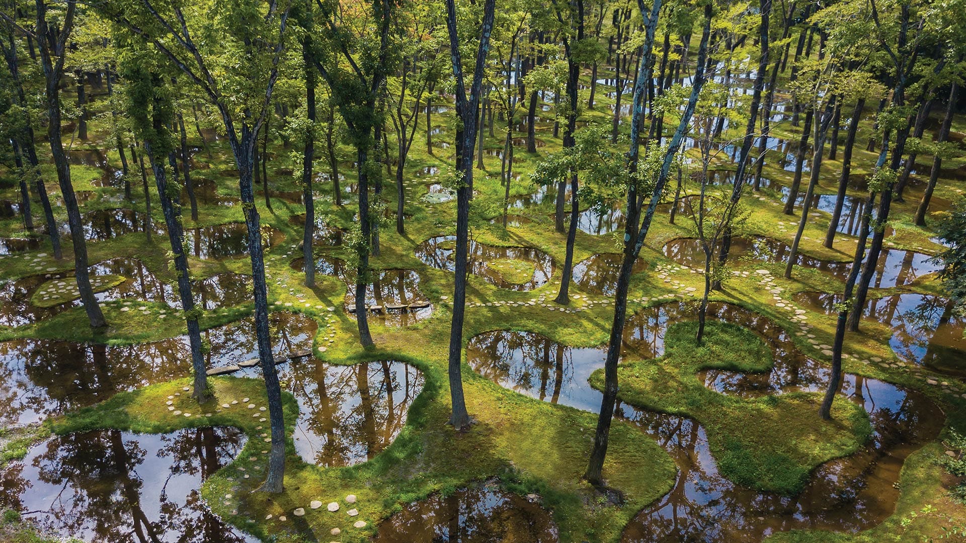 A New Kind of Nature - M2woman