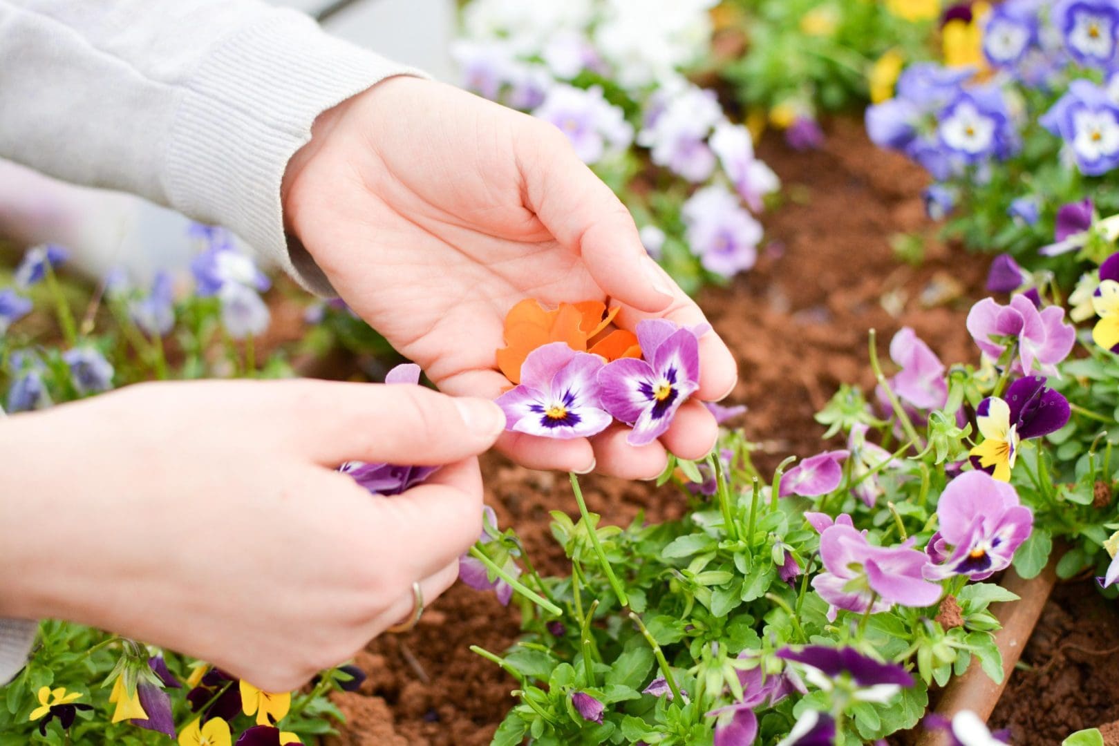 The Principles Of Root To Bloom Eating - M2woman