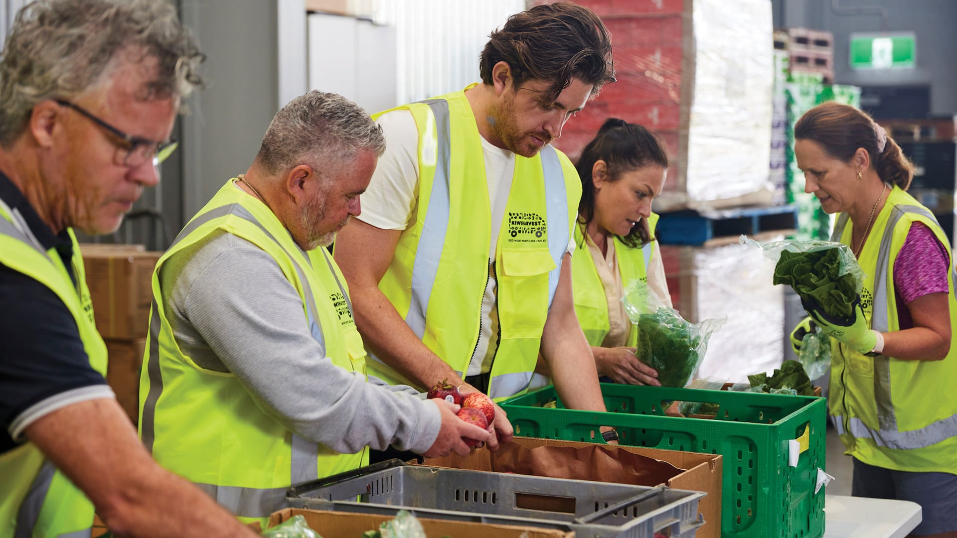 Kiwi-Harvest - M2woman